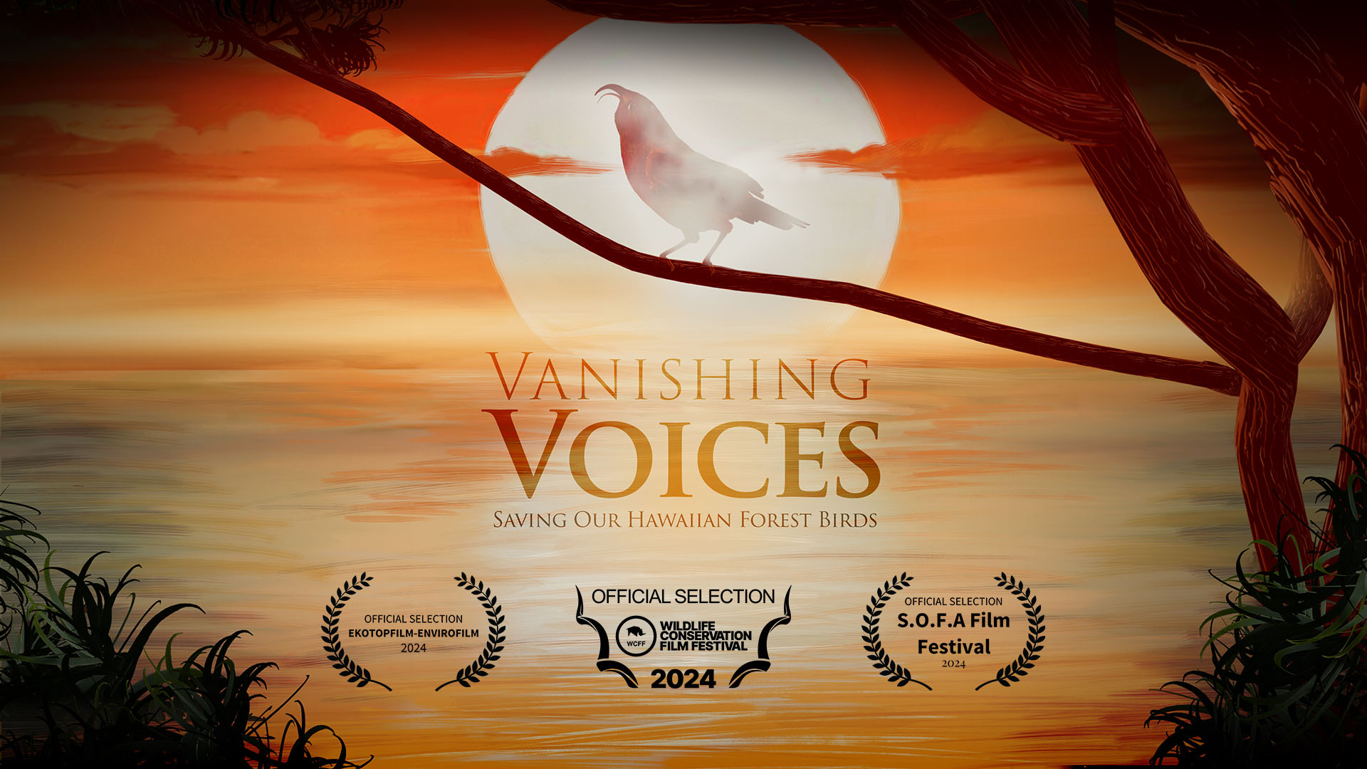 Vanishing Voices - Full Film - Hyperspective